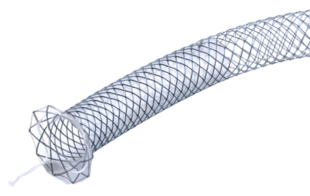 Gastroenterology Niti-S™ Self-Expandable GIOBOR™ Biliary Metal Stent ...